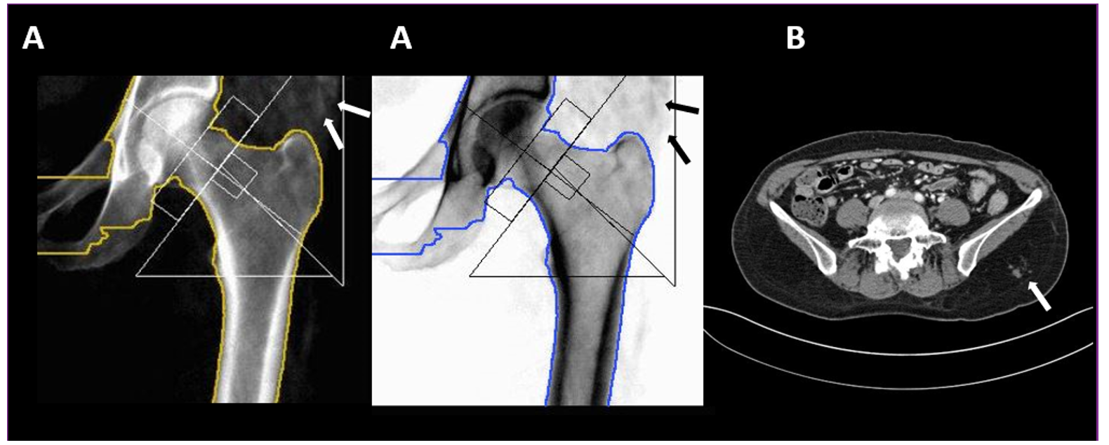 대한핵의학기술학회 – kjnmt